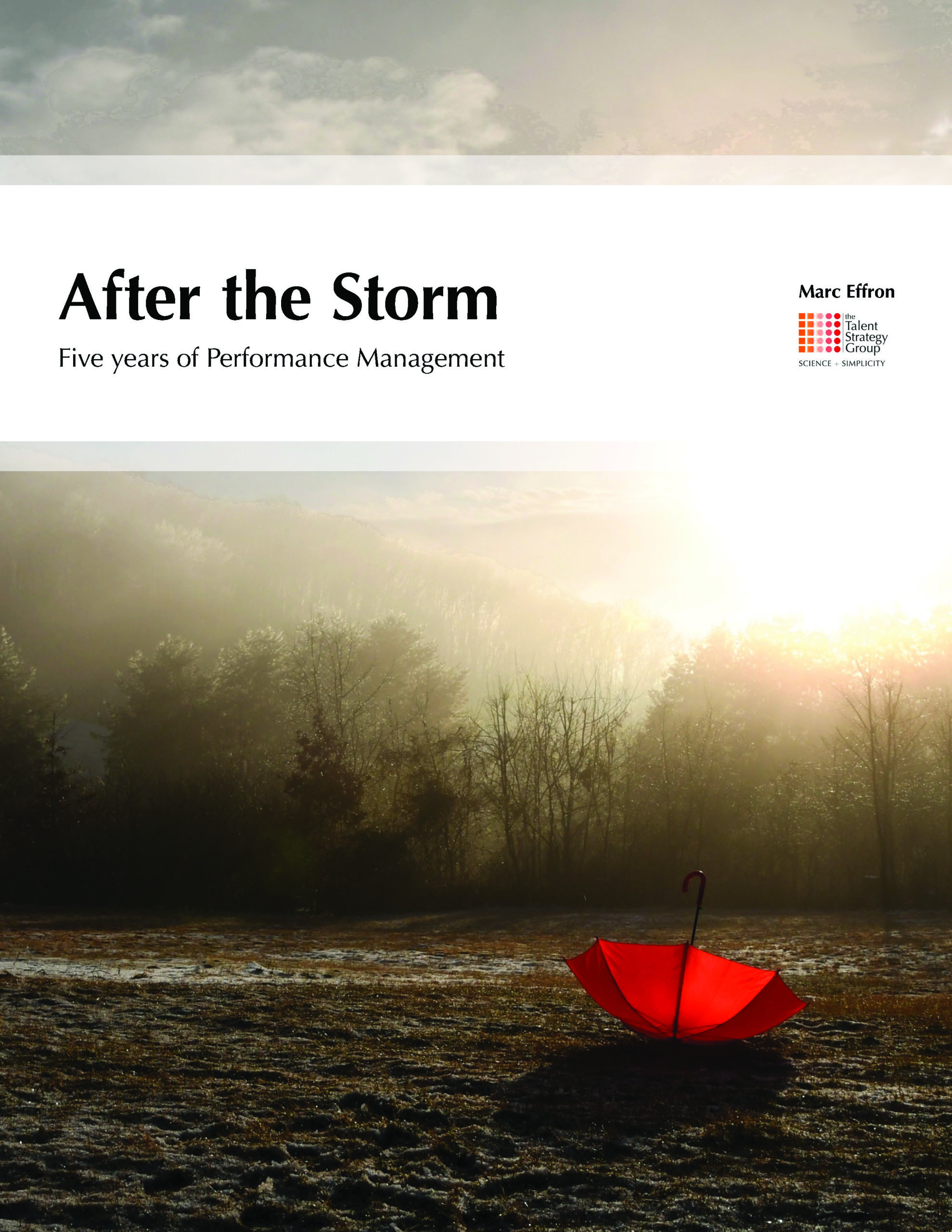 The Talent Strategy Group - After the Storm Five Years of Performance ...