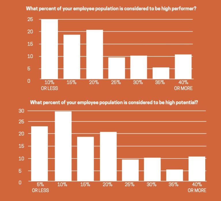 The Talent Strategy Group - 2024 High Performer and High Potential ...